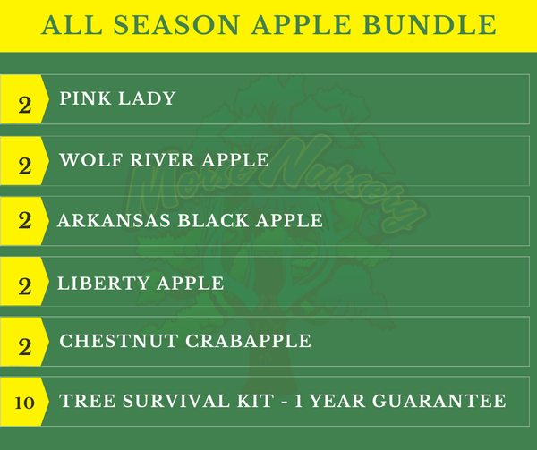 All Season Apple Bundle |36"-60"| 10 Trees + Kits – Morse Nursery