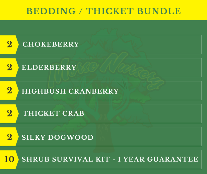 Bedding / Thicket Bundle for Wildlife – Morse Nursery