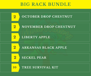 Wildlife Food Plot Tree Bundles | Chestnut | Apple Trees | Oak Trees ...